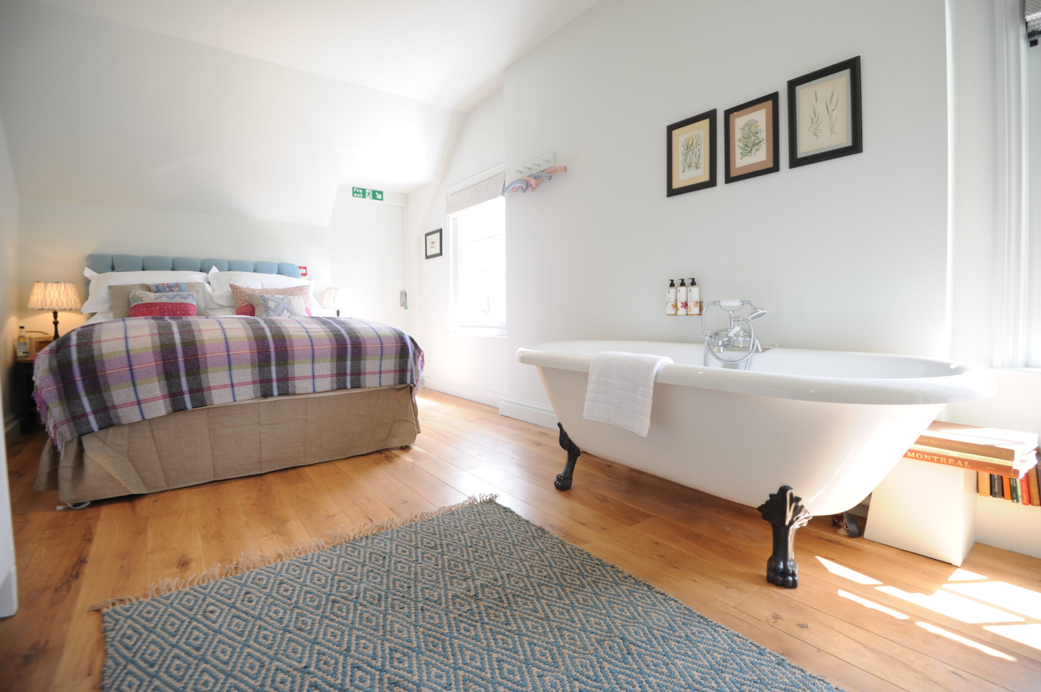 Bel & The Dragon commits to growth spurt over the next 12 months