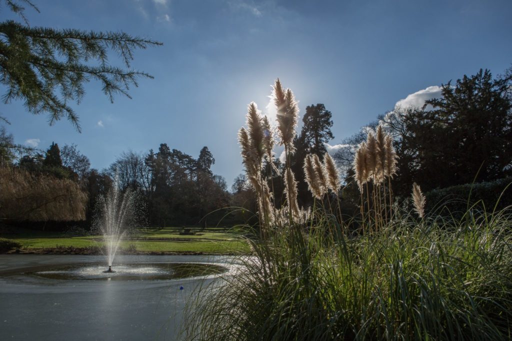 FIRST LOOK: Hawkstone Hall opens its doors as luxury hotel for the ...