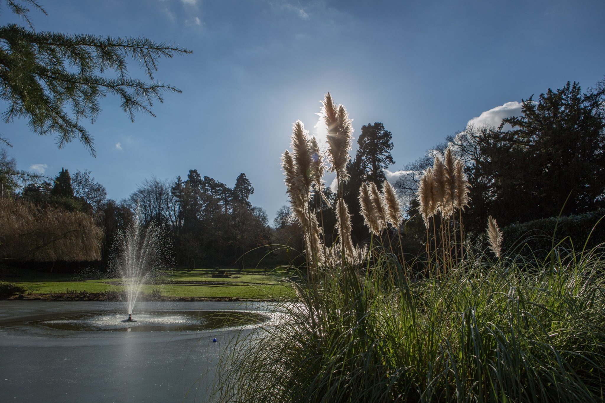 FIRST LOOK: Hawkstone Hall opens its doors as luxury hotel for the ...