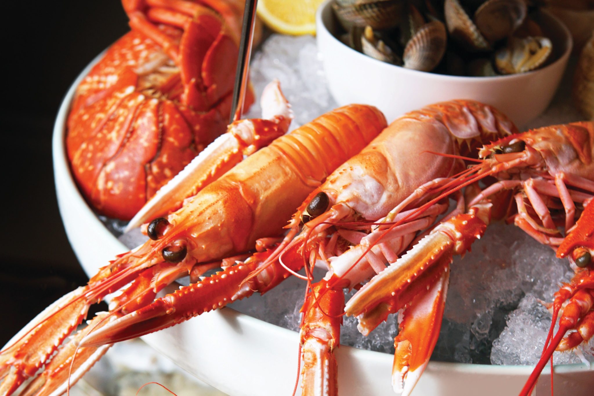 The Hoxton Southwark to open new rooftop restaurant