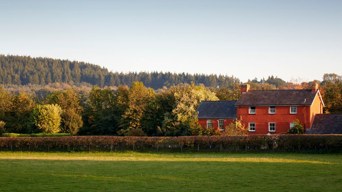 Nick Brodie from Llangoed Hall joins The Felin Fach Griffin as head chef