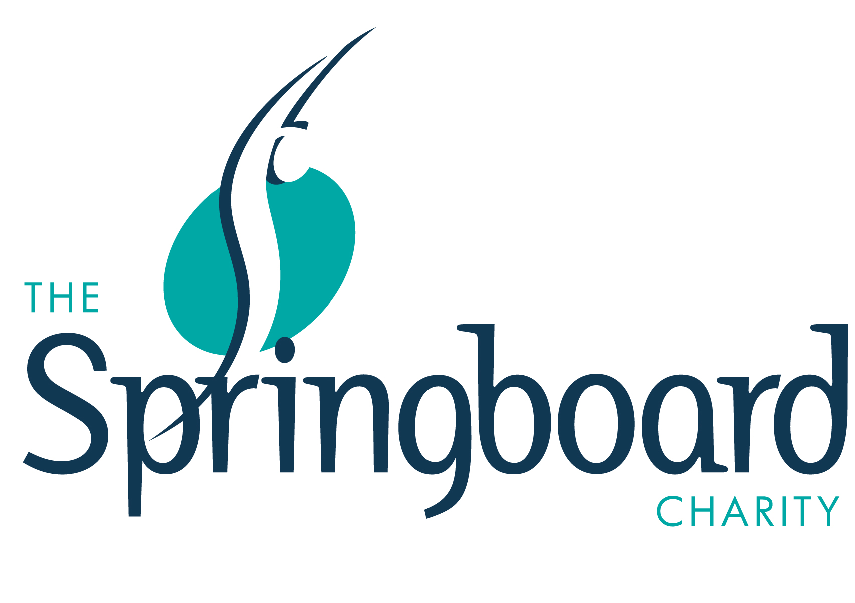 Springboard Charity seeks new chief executive