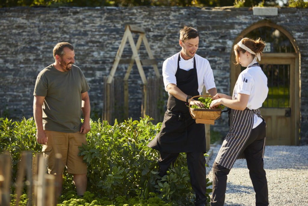 The Pig Group: Various