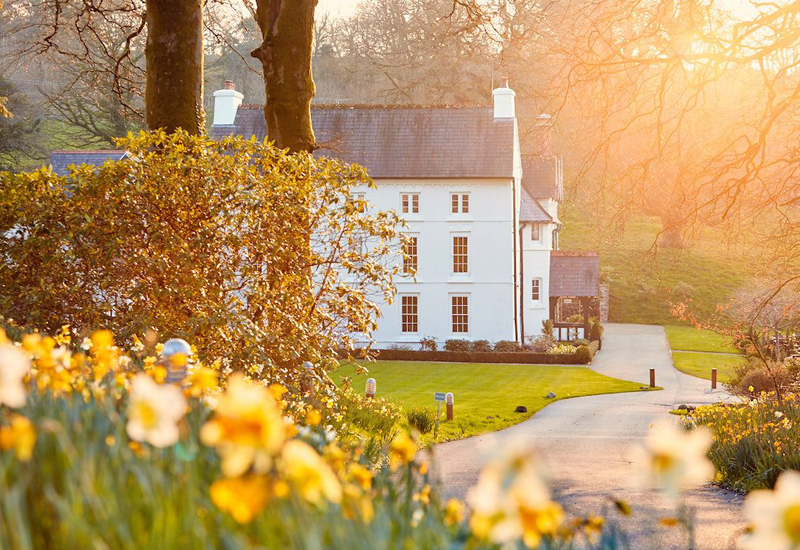 Seren Collection pays off £600k Covid loan