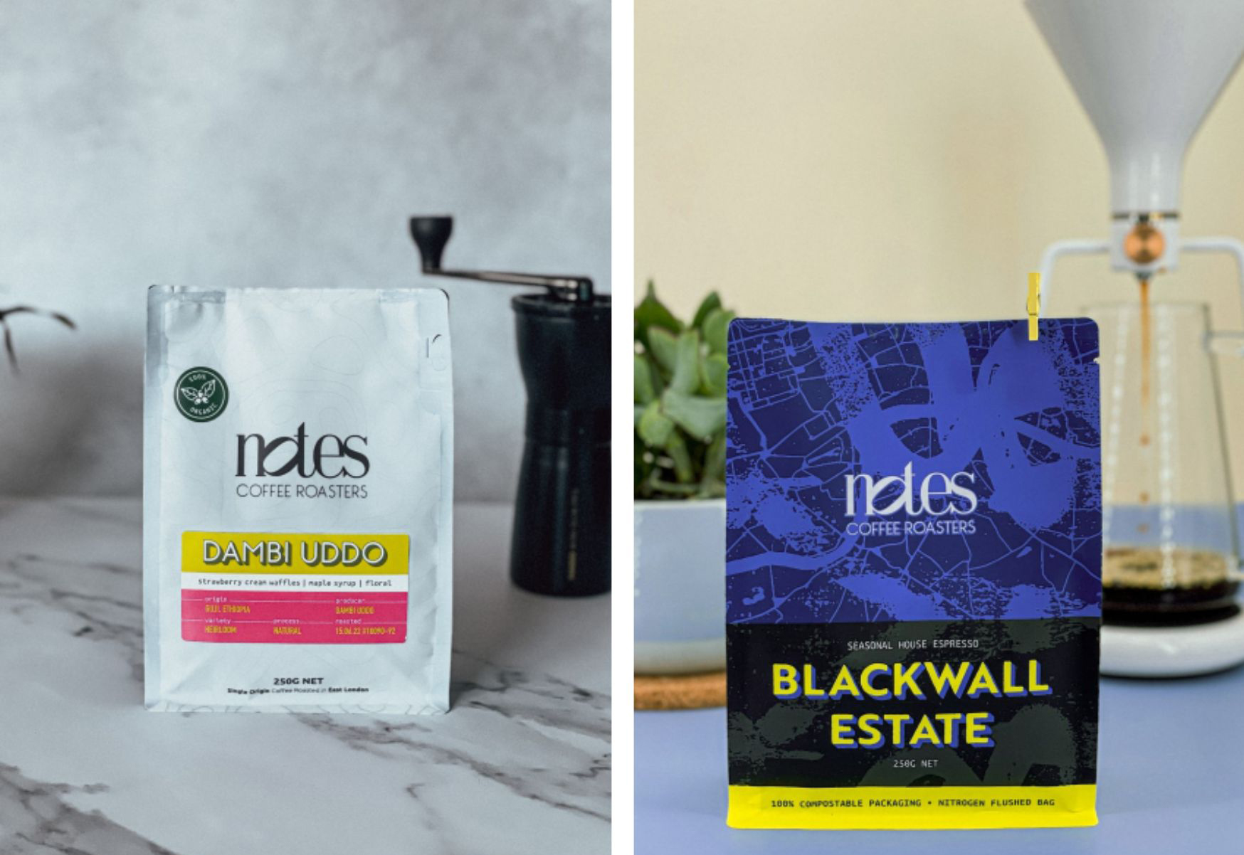 Notes coffee launches into foodservice