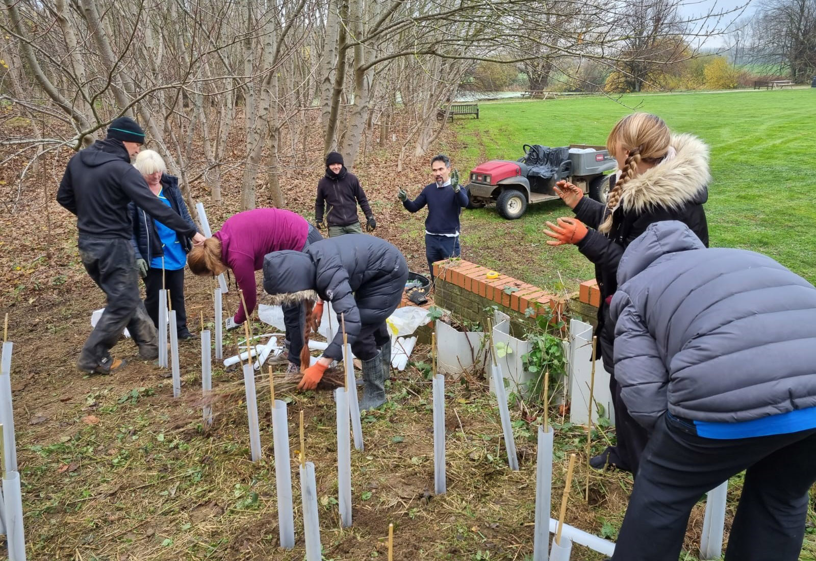 Room2Grow scheme sees 26k trees planted at Wyboston Lakes