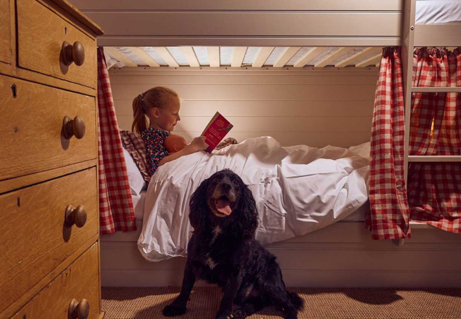 Dog-friendly hotels: 21 places in the UK that love pooches