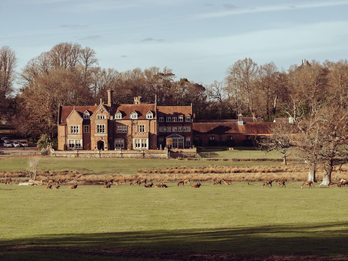 New Forest Hotel Collection comes to market for the first time in 40 years