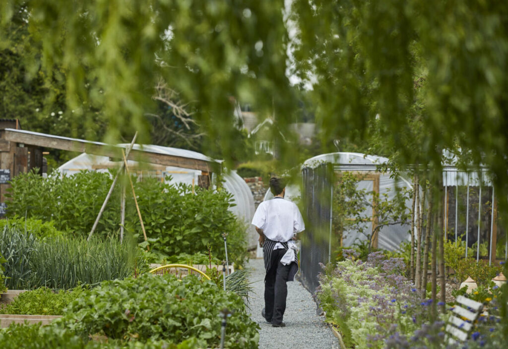 The Pig Hotels adds £1 donation to every restaurant bill