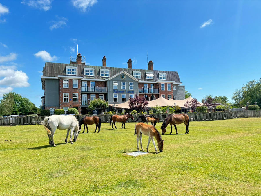 Balmer Lawn Hotel unveils new spa and wellness centre