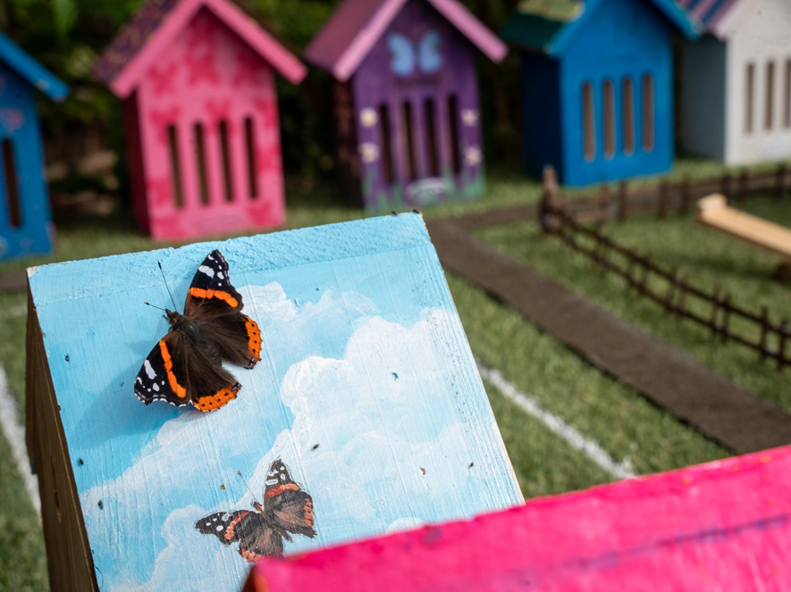 Butterfly Resort unveiled at UK hotel to boost low numbers